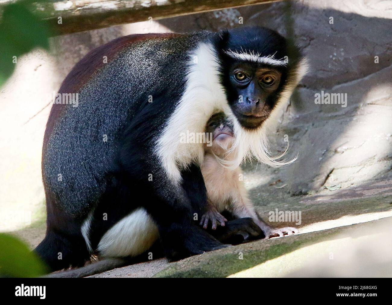 Duisburg, Deutschland. 28. April 2022. 28. April 2022, Nordrhein ...
