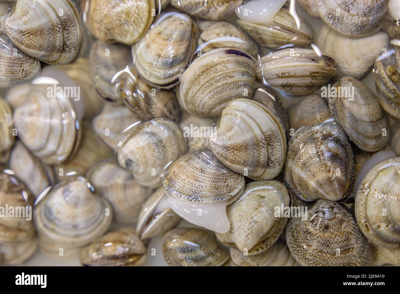 Gesund leben -Fotos und -Bildmaterial in hoher Auflösung – Alamy