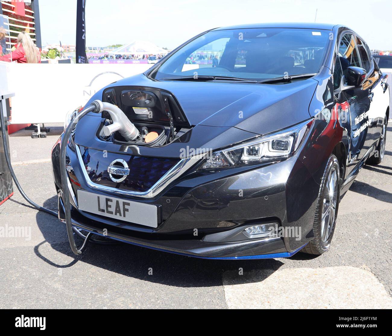 Nissan Leaf Enull