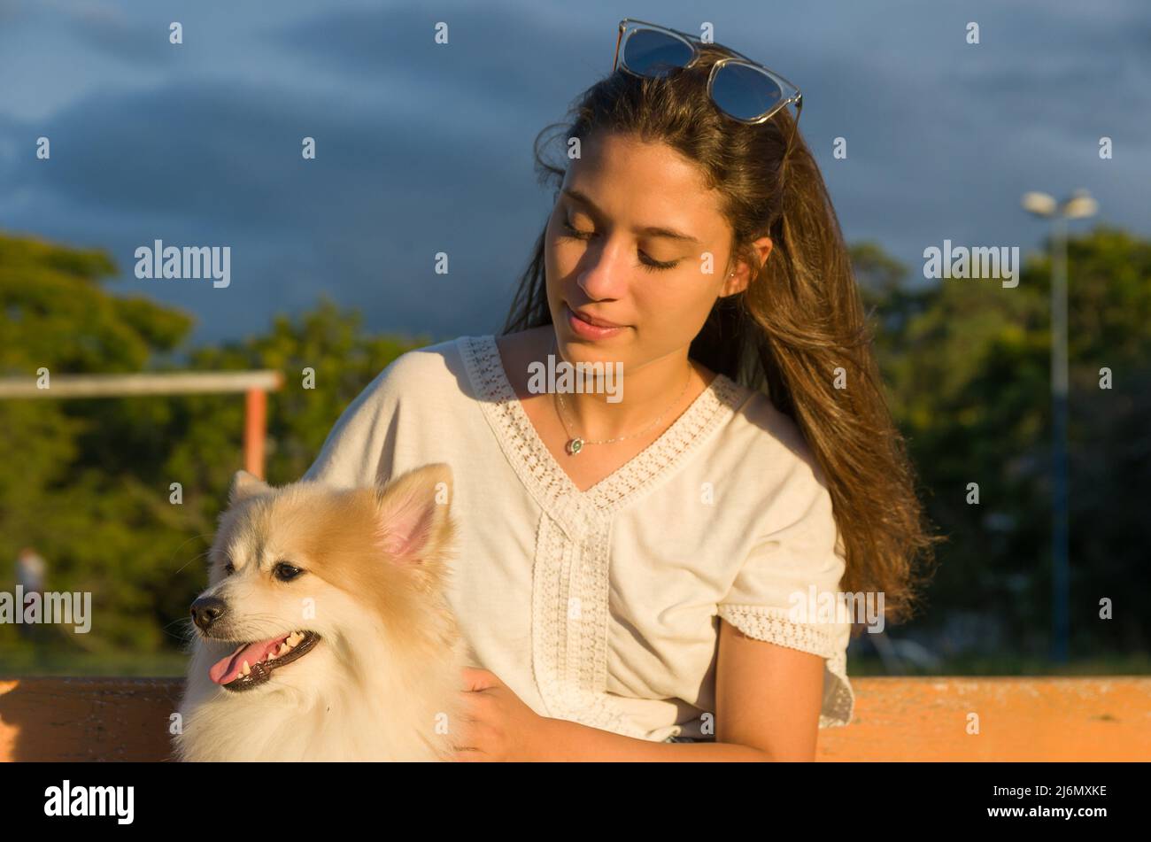 German spitz -Fotos und -Bildmaterial in hoher Auflösung – Alamy