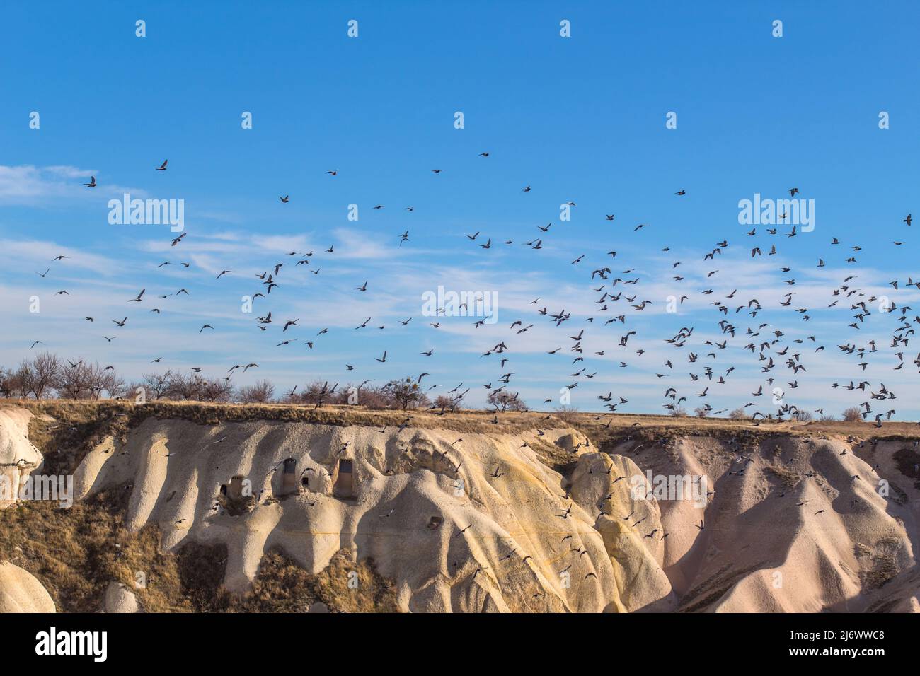 Fliegende Tauben an den vulkanischen Klippen und Felsformationen von ...
