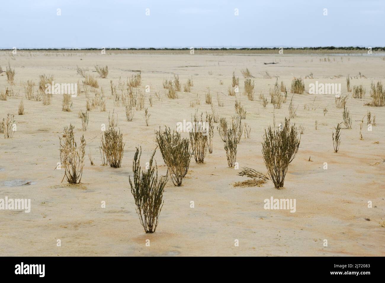 Unesco weltnaturerbe wattenmeer -Fotos und -Bildmaterial in hoher ...