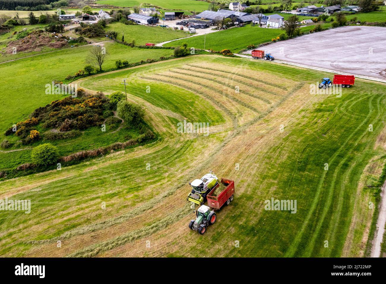 Drinagh, West Cork, Irland. 5.. Mai 2022. Die Bauern nutzen das gute ...