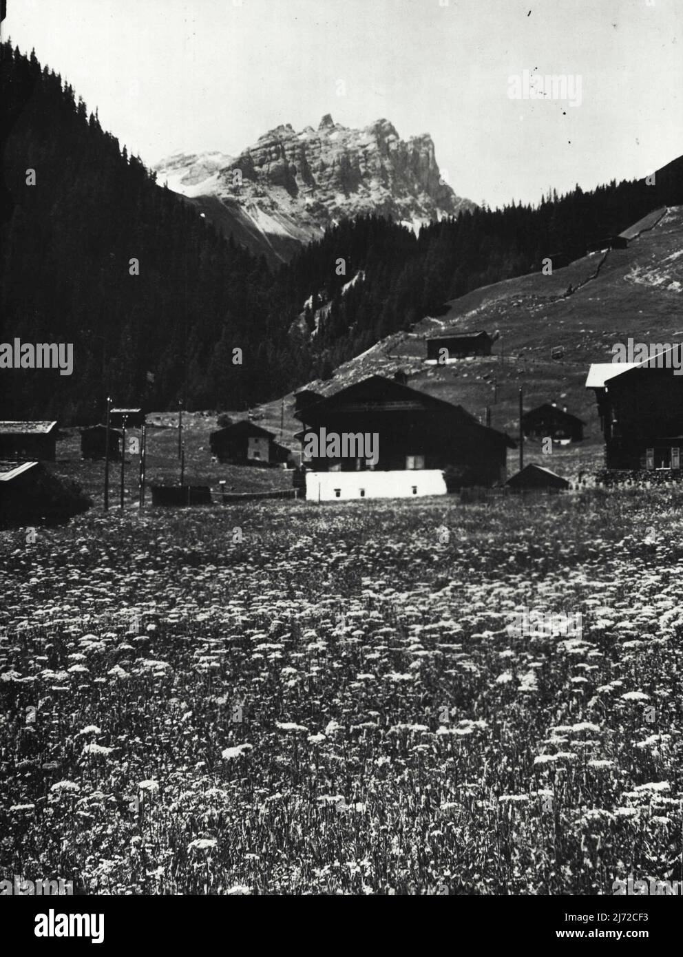 Davos im sommer -Fotos und -Bildmaterial in hoher Auflösung – Alamy