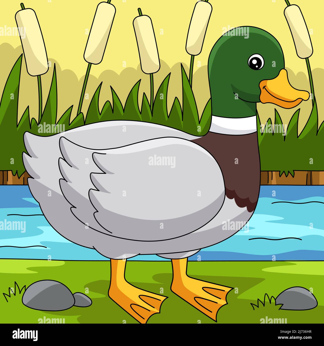 Ente cartoon Stock-Vektorgrafiken kaufen - Alamy