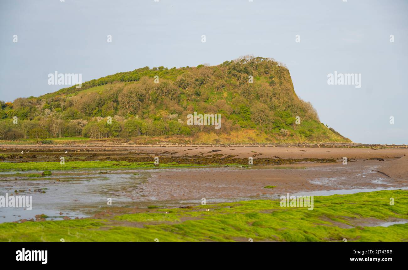 Craig tara strand -Fotos und -Bildmaterial in hoher Auflösung – Alamy