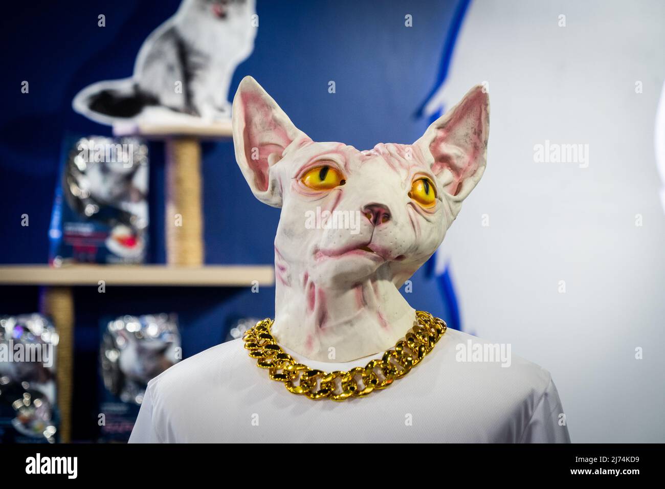 Eine Katzenmaske mit einer goldenen Kette ist auf dem Display der ...