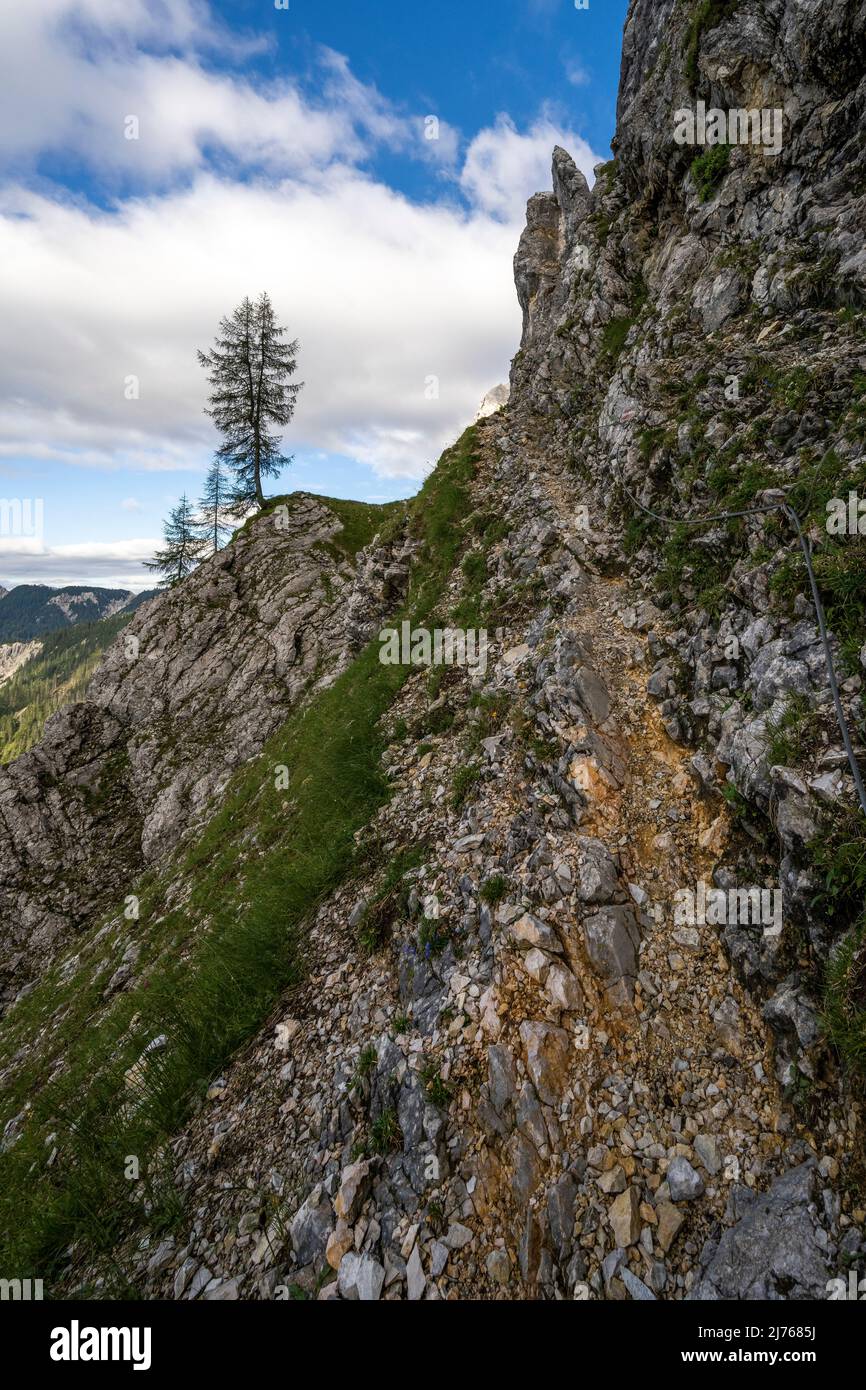 Ein enger Weg, der Gjaidsteig zwischen Wörnersattel und Bäralpl im ...
