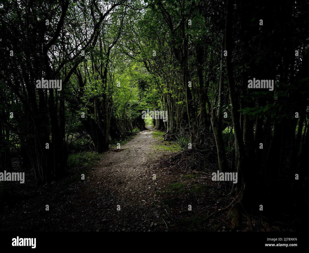 Stane street -Fotos und -Bildmaterial in hoher Auflösung – Alamy