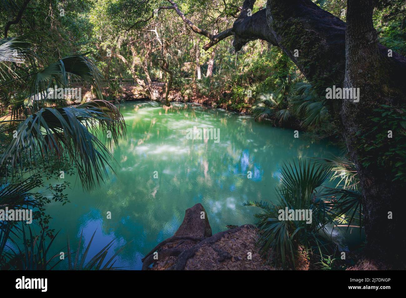 Deltona florida -Fotos und -Bildmaterial in hoher Auflösung – Alamy