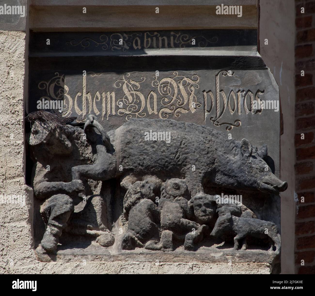 Wittenberg Stadtkirche 79635 Sandsteinrelief mit der sog Judensau 79635 ...