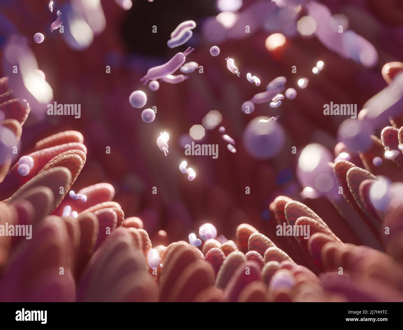 Mikrobiom Darm Fabriken und Mikrobiota. Darmgesundheit 3D Render ...