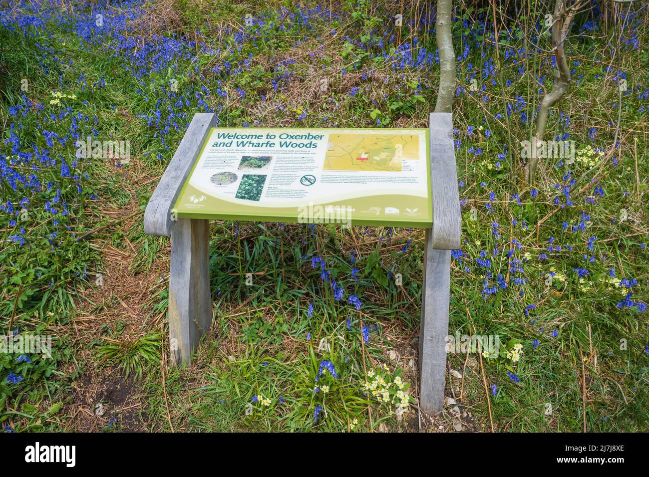 Wharfe und ochsenholz -Fotos und -Bildmaterial in hoher Auflösung – Alamy