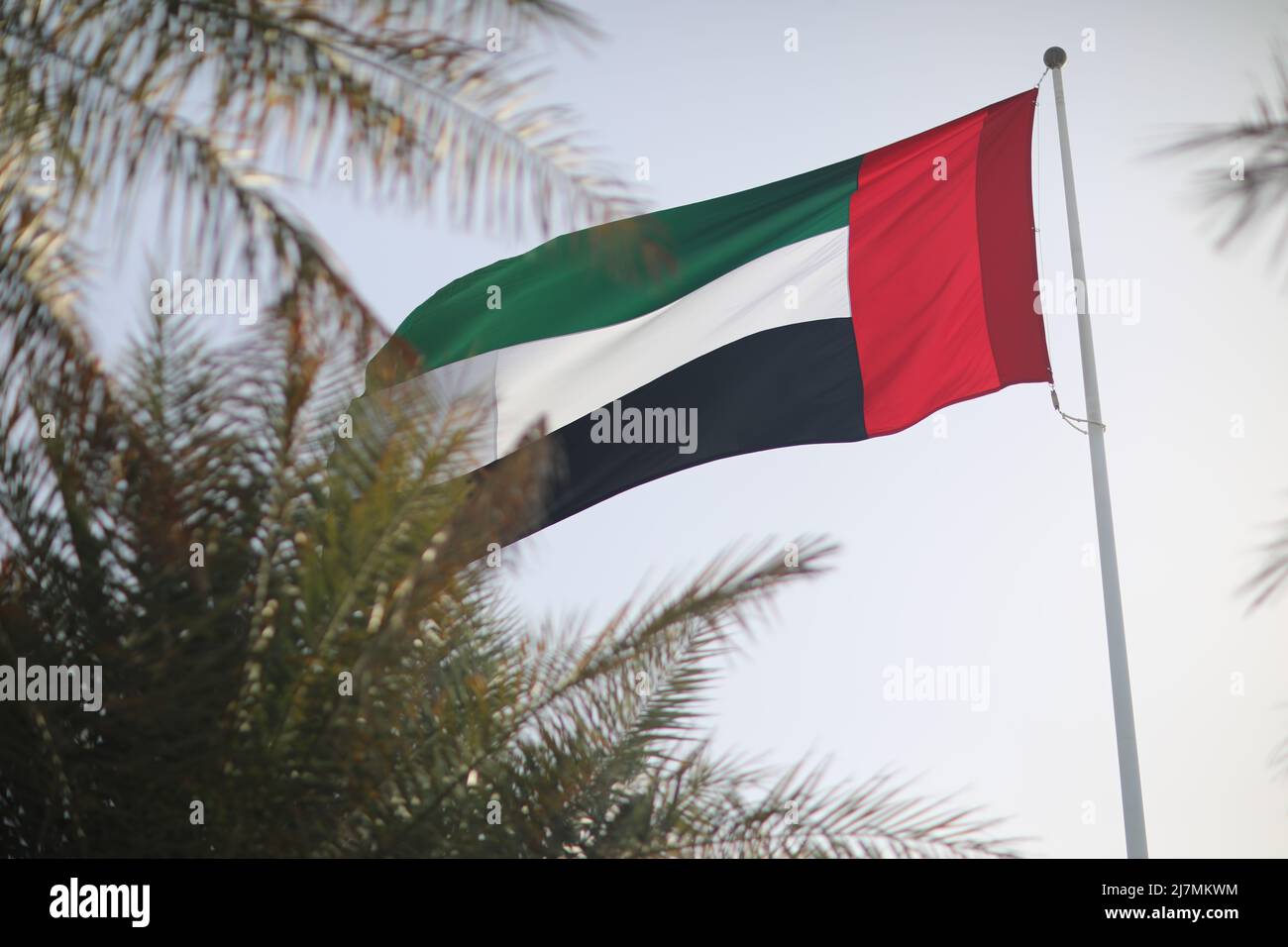 Vereinigte Arabische Flagge Stockfotos und -bilder Kaufen - Alamy