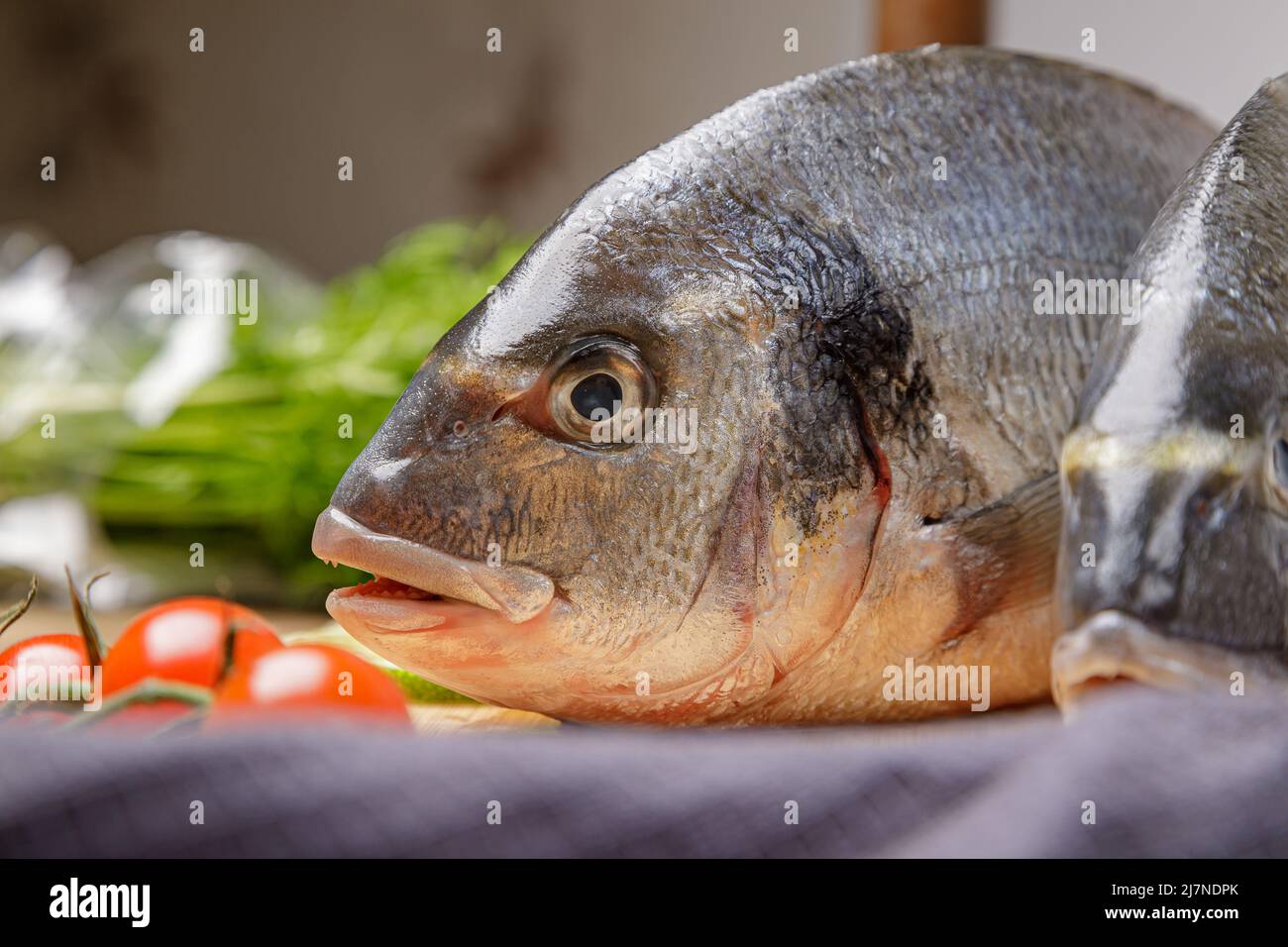 Rohe dorados -Fotos und -Bildmaterial in hoher Auflösung – Alamy