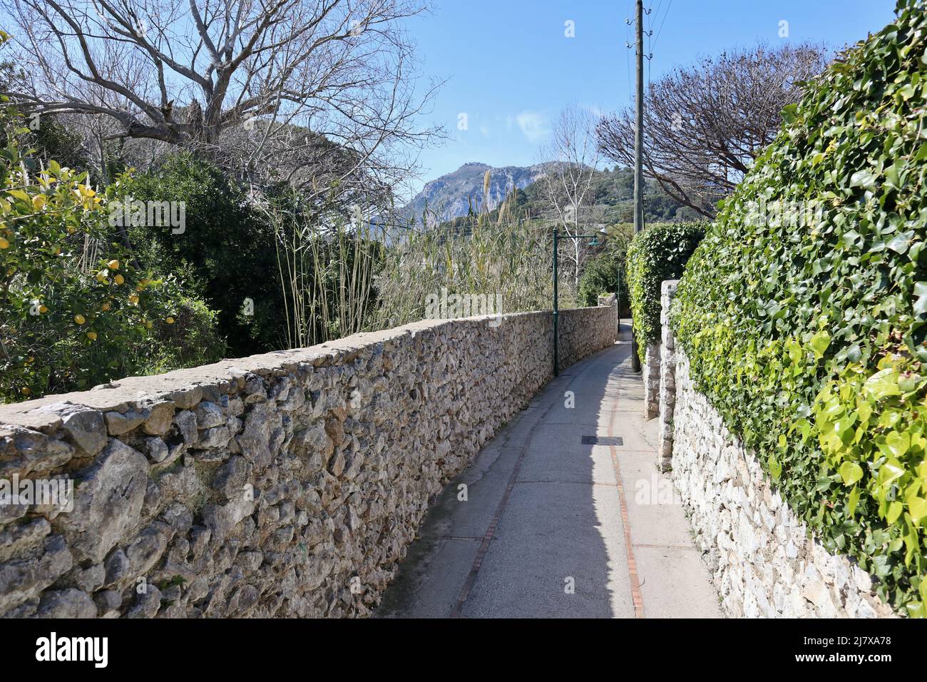 Monte tiberio capri -Fotos und -Bildmaterial in hoher Auflösung – Alamy