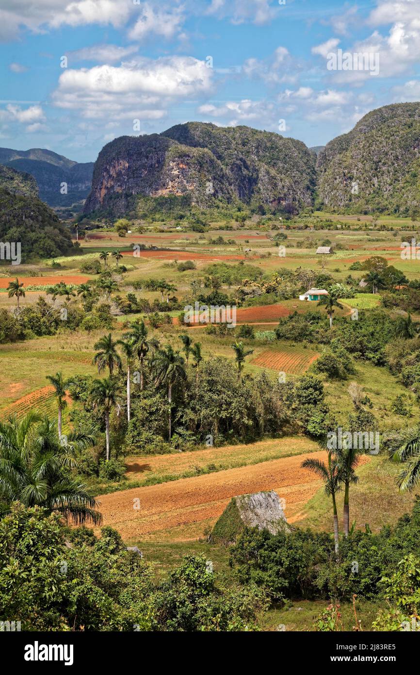 Los jazmines mirador -Fotos und -Bildmaterial in hoher Auflösung – Alamy