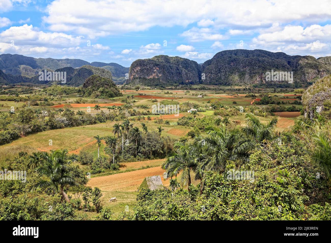 Blick vom Aussichtspunkt Mirador Los Jazmines auf die Landschaft, das ...