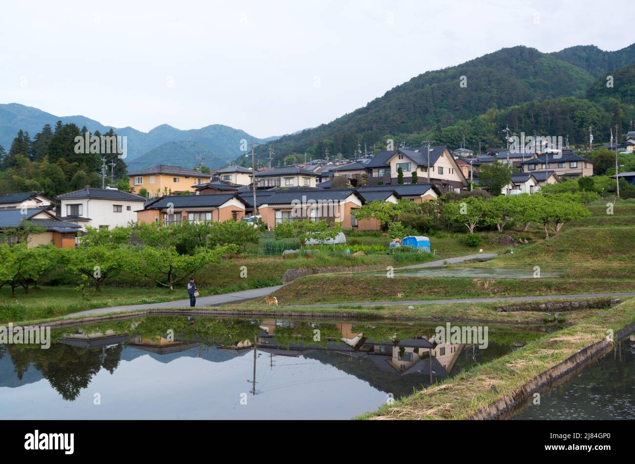 Japanische reisfelder -Fotos und -Bildmaterial in hoher Auflösung – Alamy