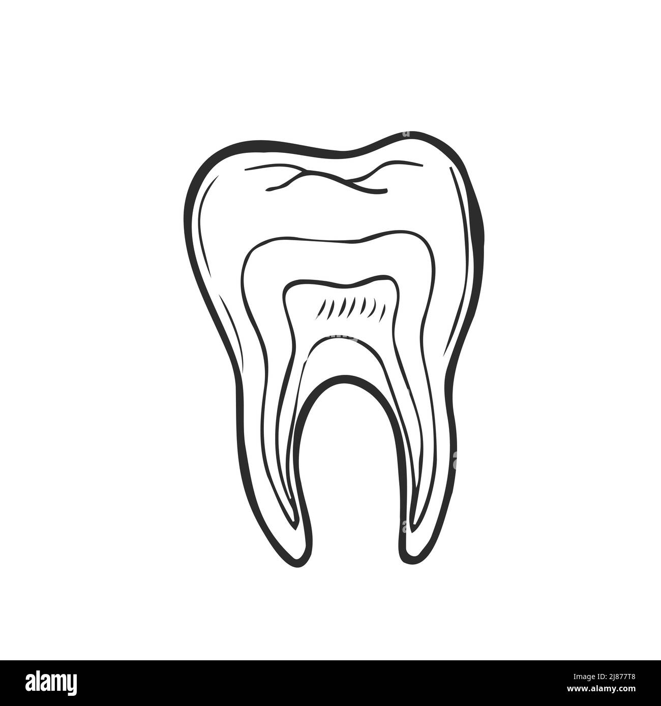 Handgezeichnete schwarze Linien zeichnen Molar, Zahn. Doodle-Zeichnung ...