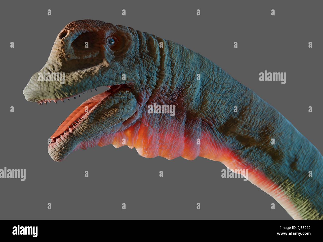 Fauna des jura -Fotos und -Bildmaterial in hoher Auflösung – Alamy