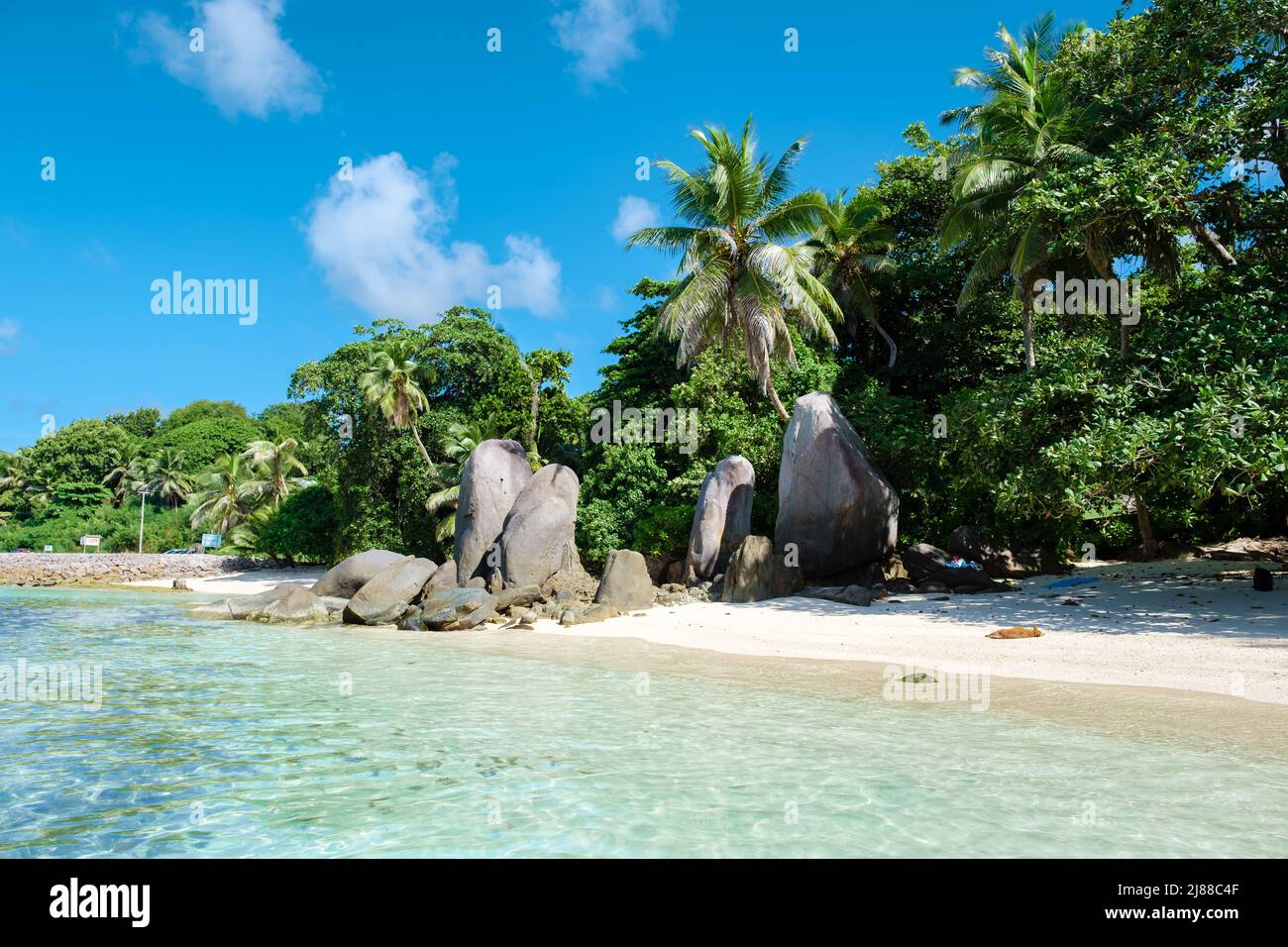 Mahe Seychellen, ein tropischer Strand mit Palmen und ein blaues Meer ...