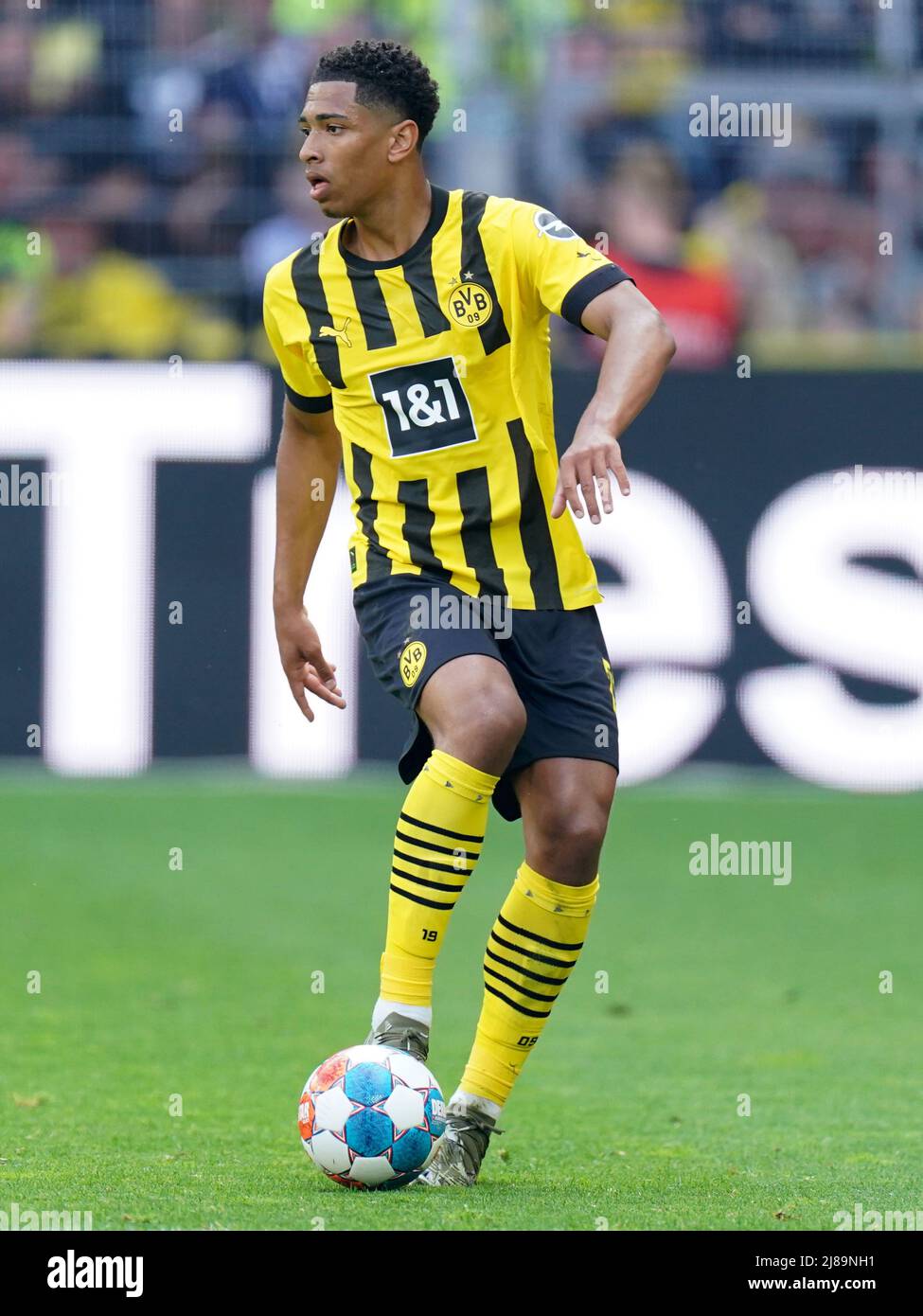 DORTMUND, DEUTSCHLAND - MAI 14: Jude Bellingham von Borussia Dortmund ...