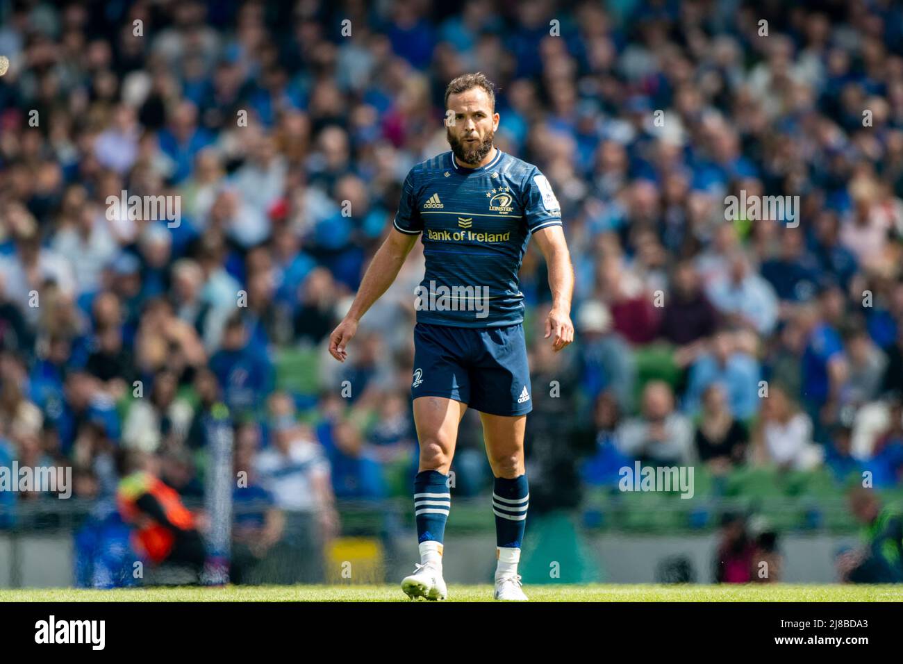Jamison Gibson-Park aus Leinster schaut am 14. Mai 2022 während des ...