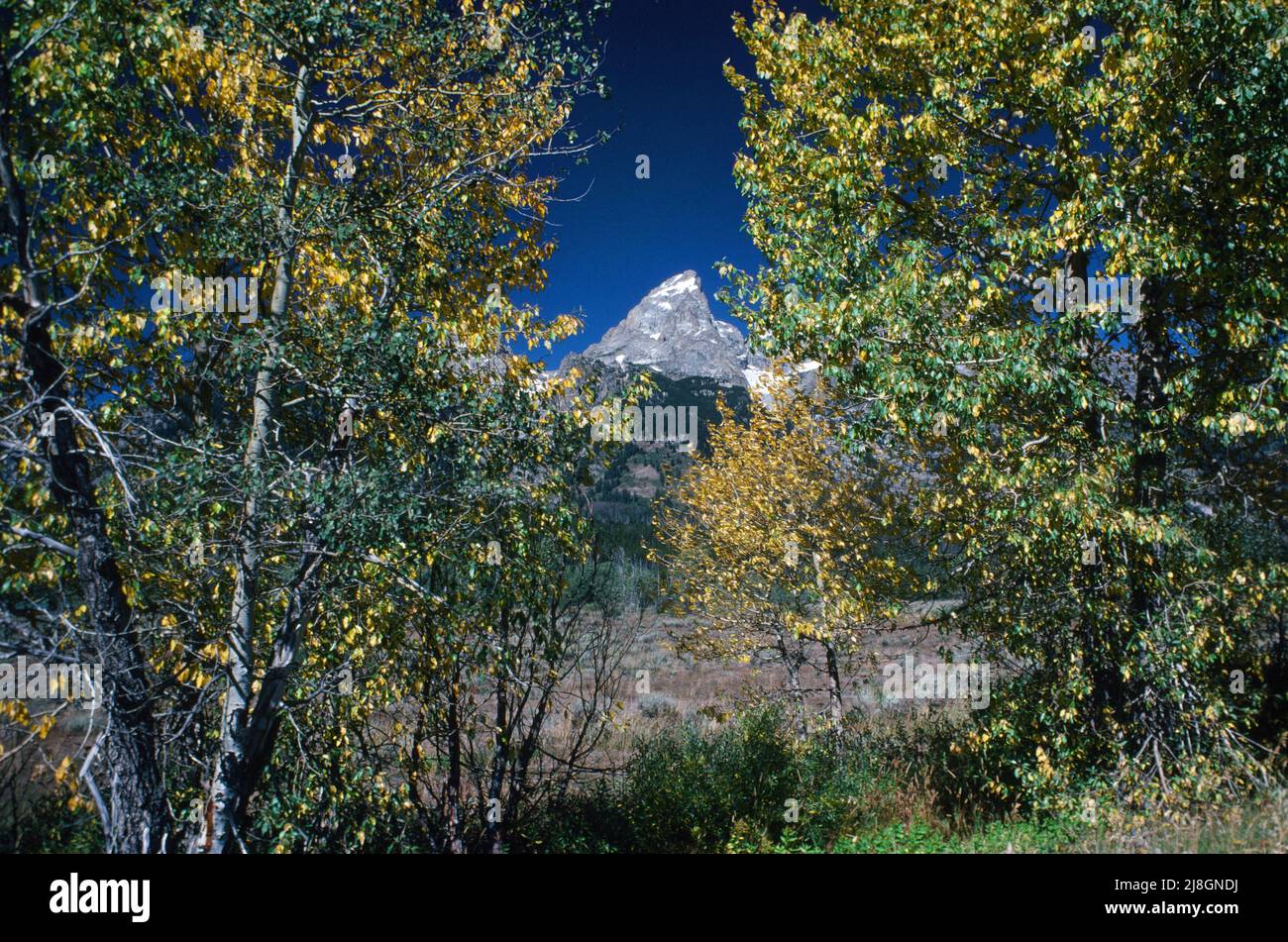 Robert manno -Fotos und -Bildmaterial in hoher Auflösung – Alamy