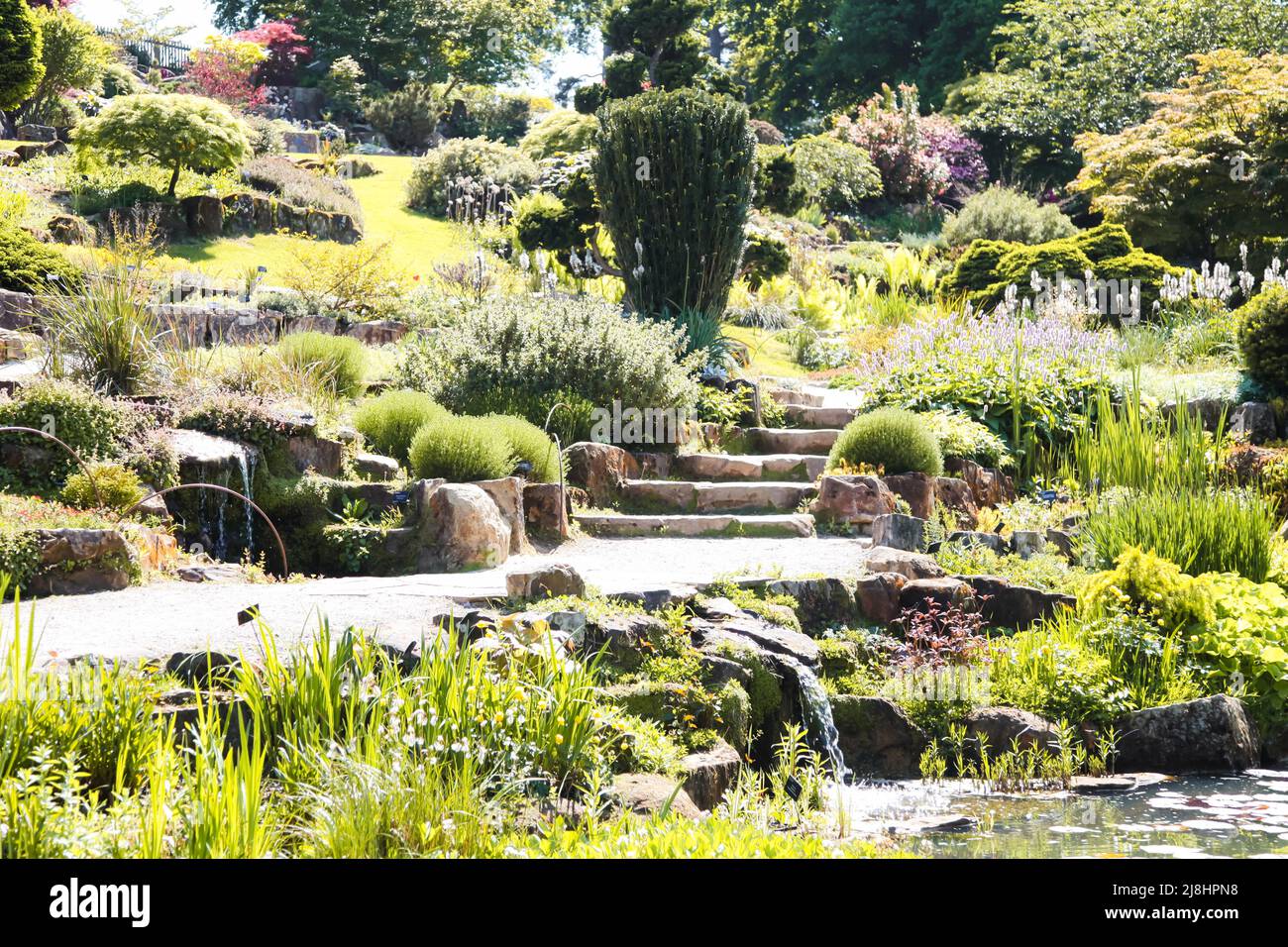 Rhs wisley steingarten -Fotos und -Bildmaterial in hoher Auflösung – Alamy