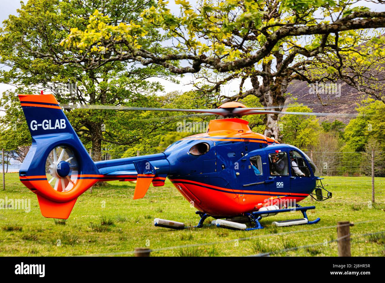Blau und rot G-GLAB - Airbus Helicopter H135 schwebt in Vorbereitung ...