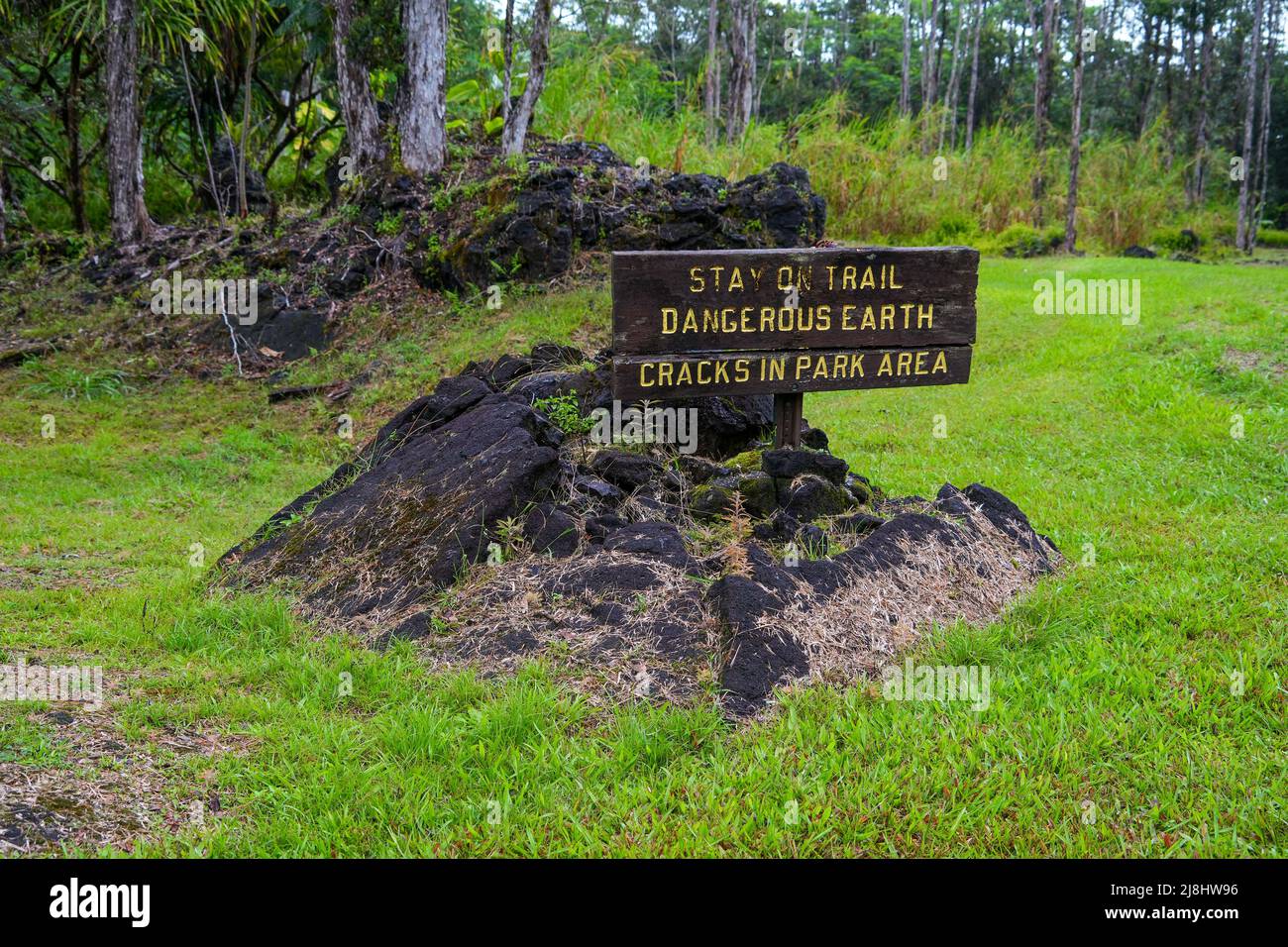 Lava Tree State Monument an den Hängen des Kilauea Vulkans im Südosten ...