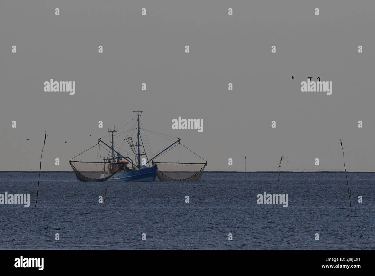 Fish trawler -Fotos und -Bildmaterial in hoher Auflösung – Alamy