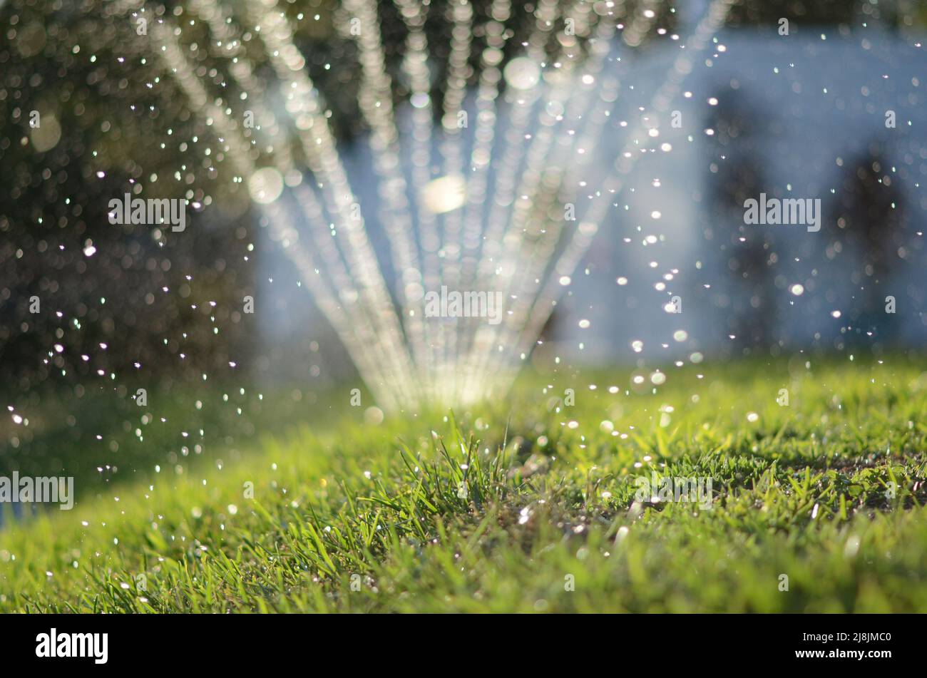 Sprinkler spaß -Fotos und -Bildmaterial in hoher Auflösung – Alamy