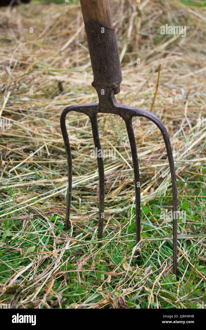 Heugabel gras -Fotos und -Bildmaterial in hoher Auflösung – Alamy