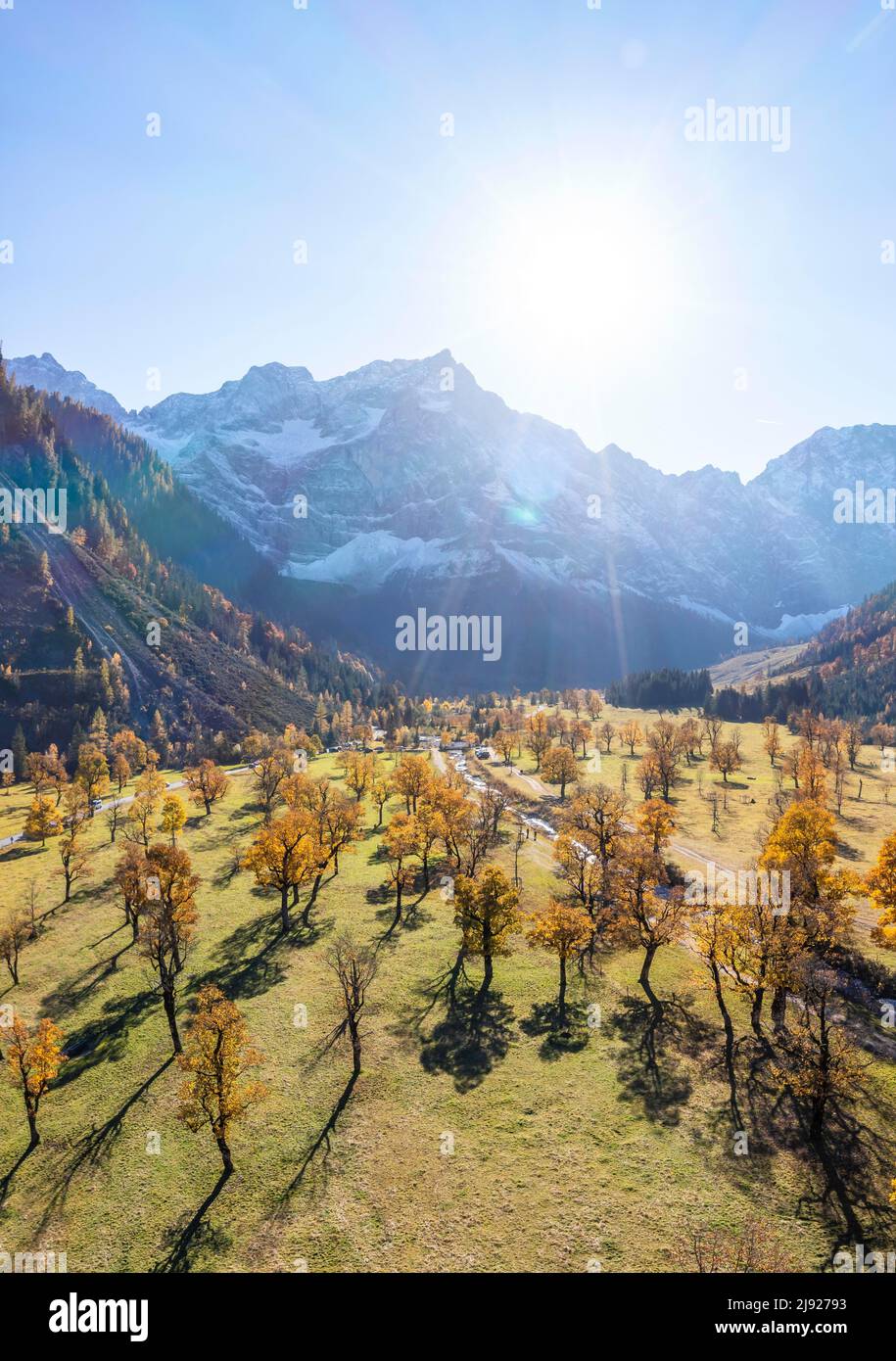 Karwendel, Luftaufnahme, Grosser Ahornboden im Herbst, gelber Bergahorn ...