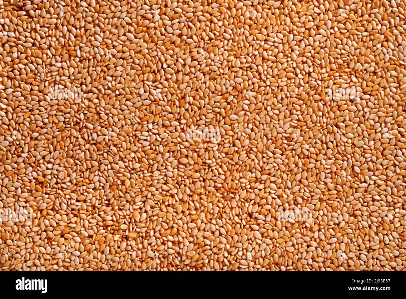 Samen korn -Fotos und -Bildmaterial in hoher Auflösung – Alamy