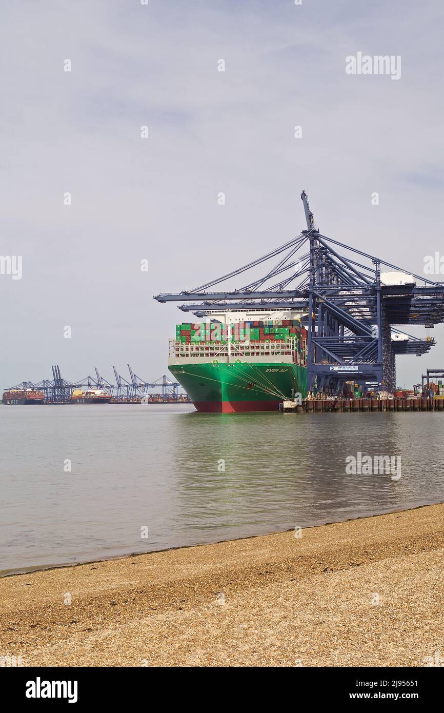 Msc michelle -Fotos und -Bildmaterial in hoher Auflösung – Alamy