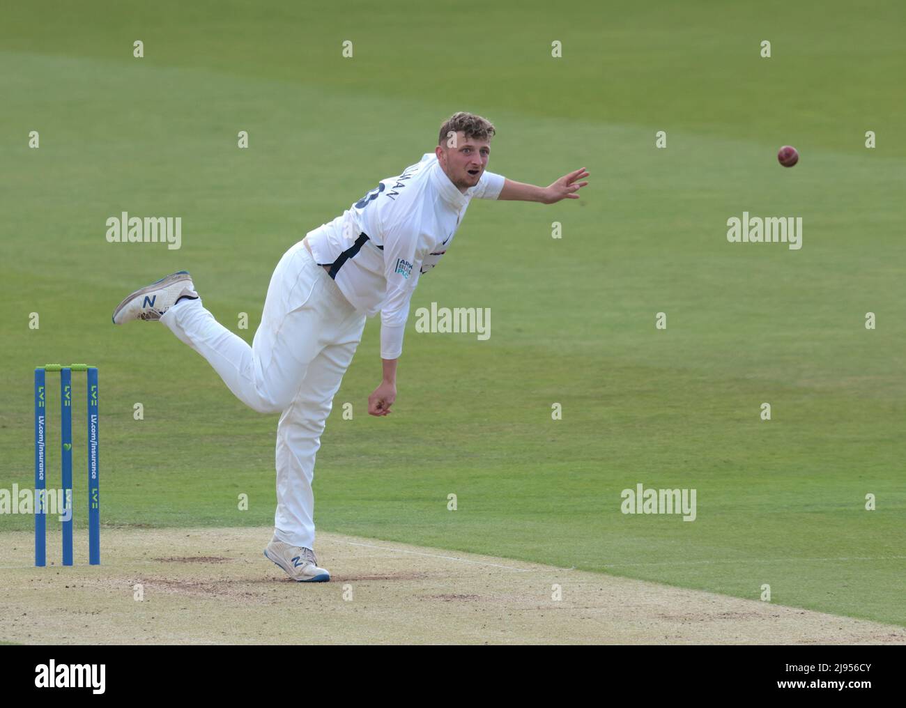 Luke hollman -Fotos und -Bildmaterial in hoher Auflösung – Alamy