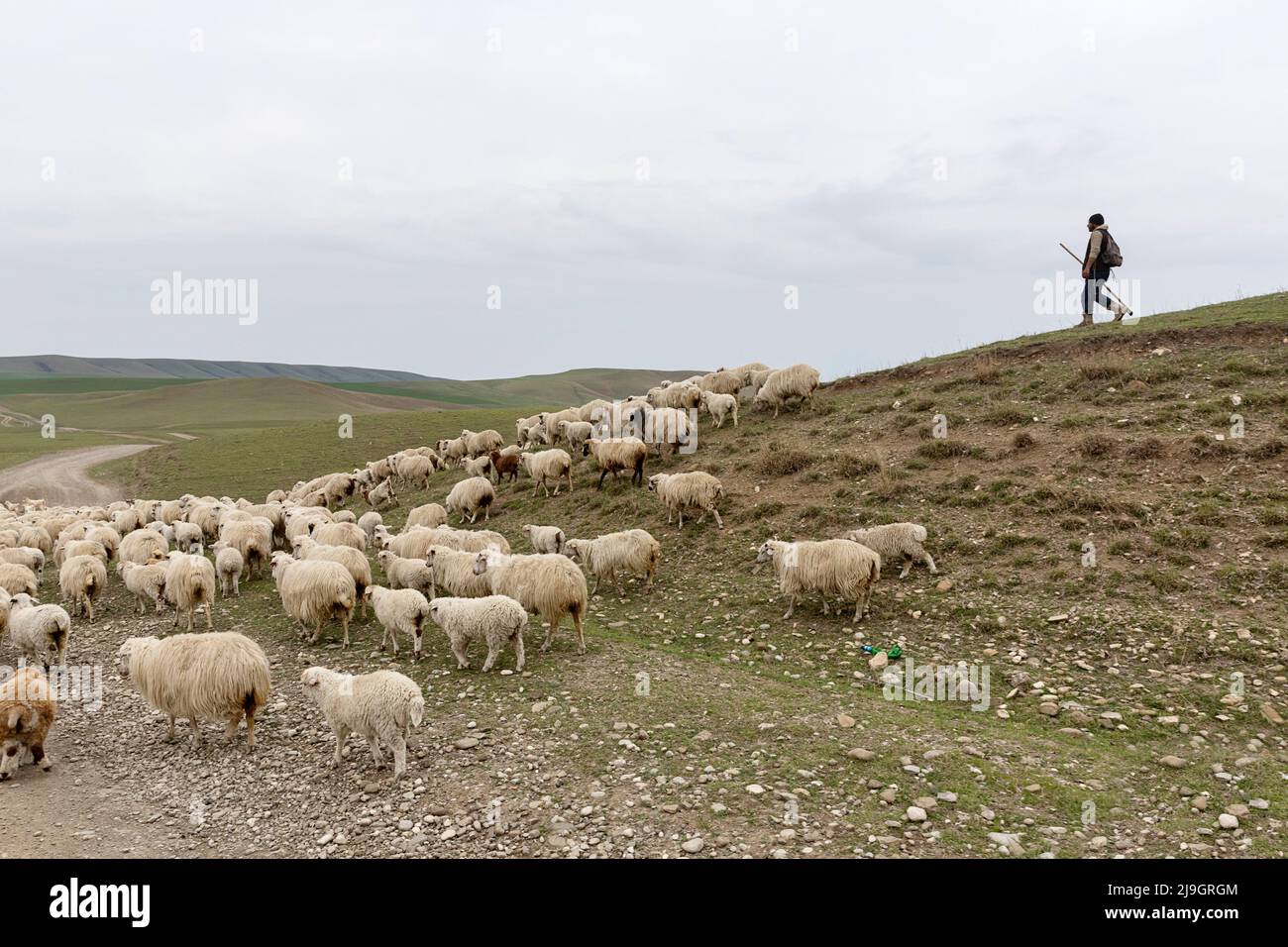 Dedoplis tskaro -Fotos und -Bildmaterial in hoher Auflösung – Alamy