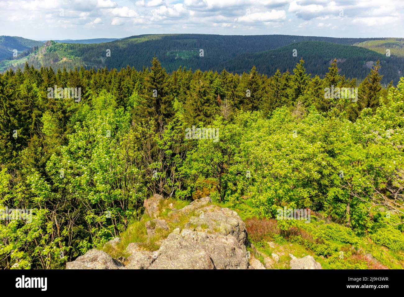 Wanderung zum Hochmoor bei Oberhof im Thüringer Wald - Thüringen ...
