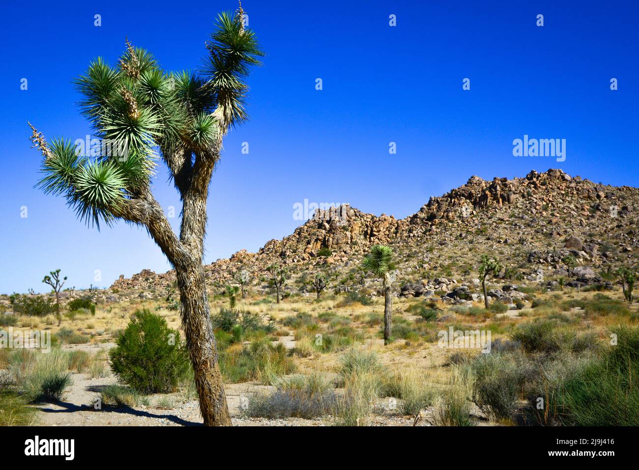 Riversice grafschaft -Fotos und -Bildmaterial in hoher Auflösung – Alamy