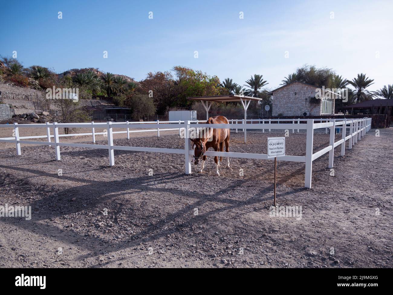 Wadi asimah -Fotos und -Bildmaterial in hoher Auflösung – Alamy