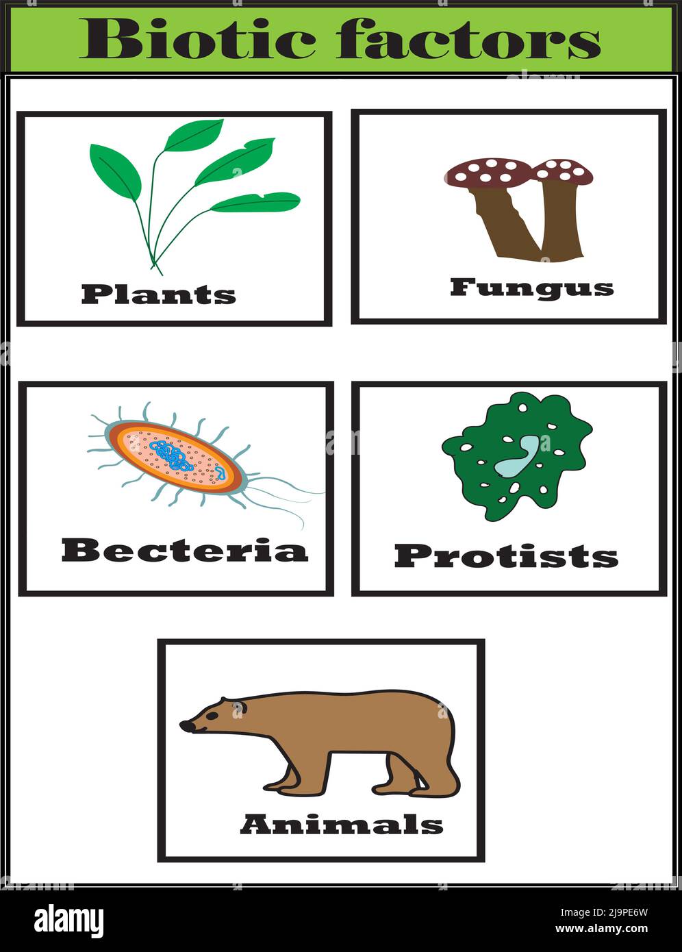 Biotische und abiotische Faktoren Diagramm.Natur Ökosystem.Studien- und ...