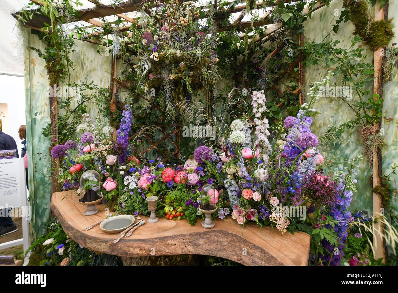 Die Chelsea Flower Show 2022 ist geöffnet. Trotz der Gewitter sieht es ...