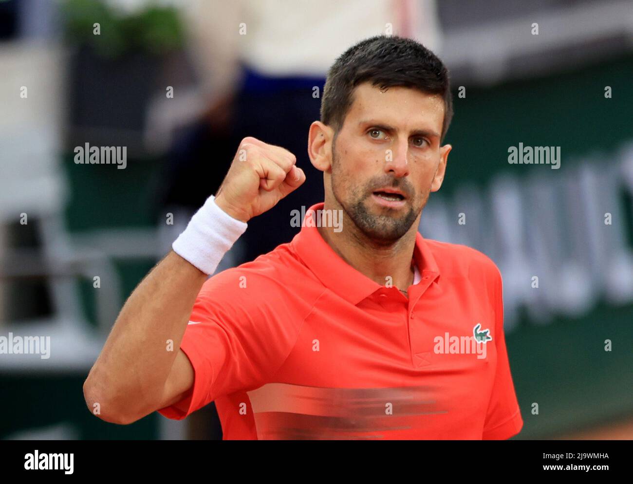Alex molcan tennis -Fotos und -Bildmaterial in hoher Auflösung – Alamy