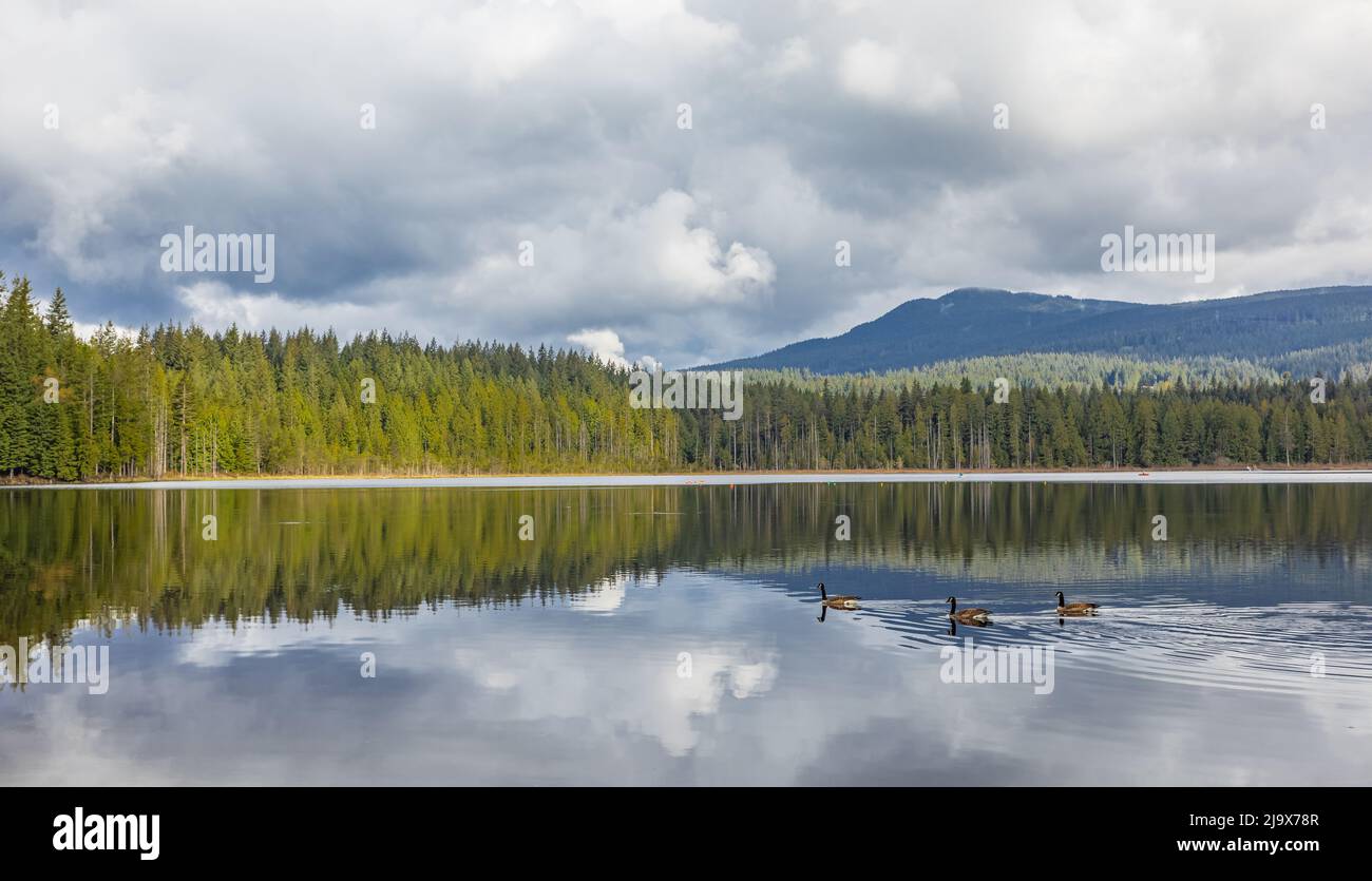 Whonnock lake provinzpark -Fotos und -Bildmaterial in hoher Auflösung ...
