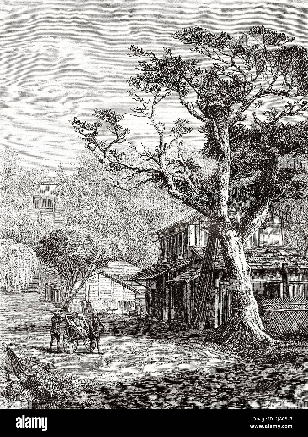 Eine japanische Farm in Subashiri, Japan, Asien. Die Besteigung von ...