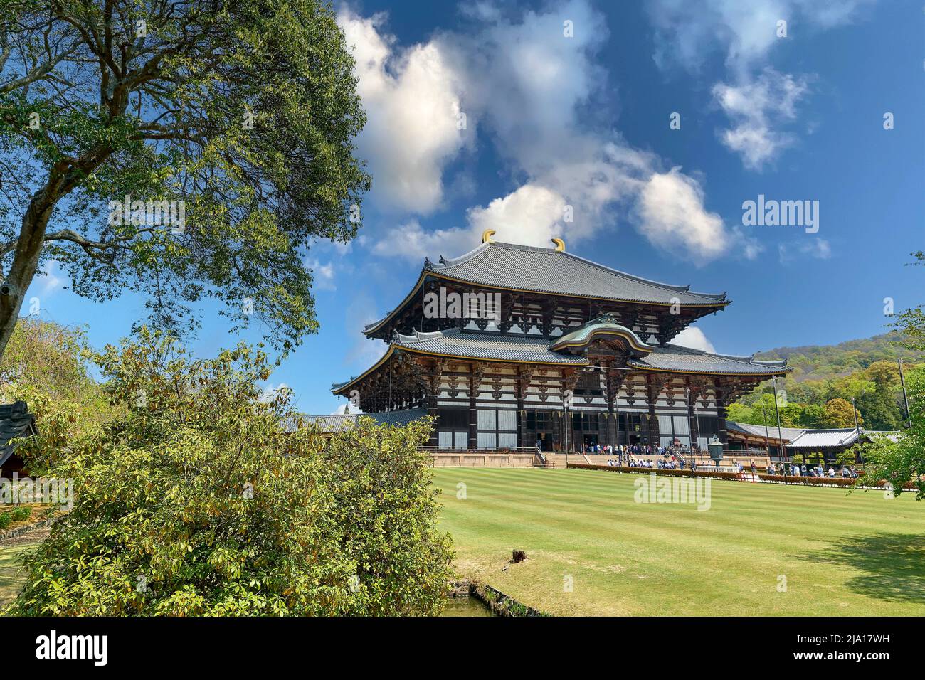 Todai ji park -Fotos und -Bildmaterial in hoher Auflösung – Alamy