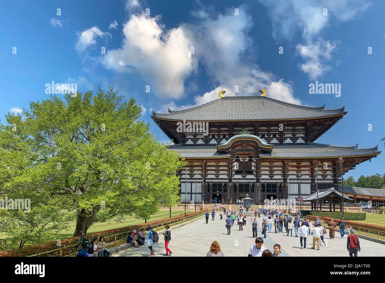 Todaiji architektur -Fotos und -Bildmaterial in hoher Auflösung – Alamy